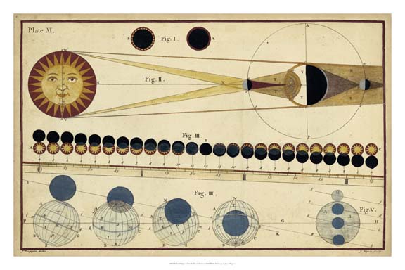 Total Eclipses of Sun & Moon's Shadow - Picture This Wall Art