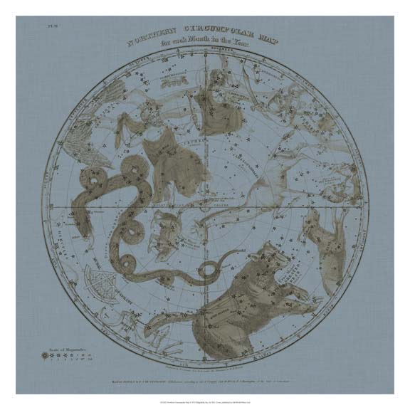 Northern Circumpolar Map - Picture This Wall Art