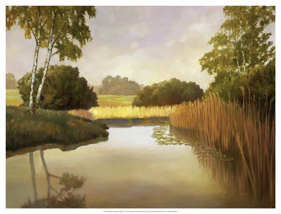 Reeds, Birches & Water I - Picture This Wall Art